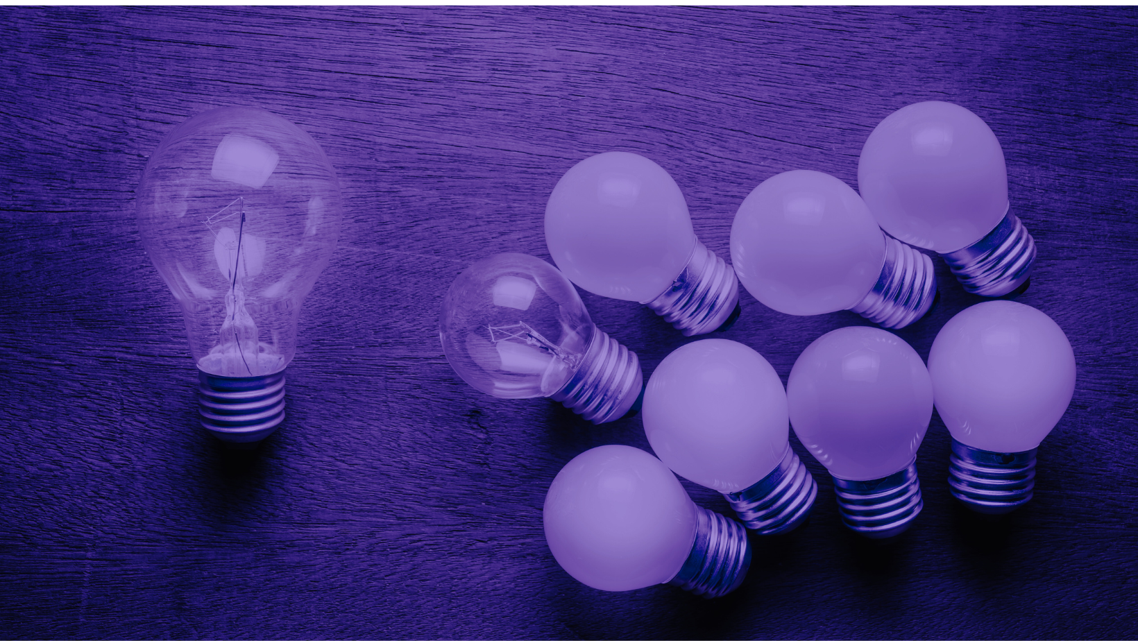 SLC Academy – Sustain Leadership